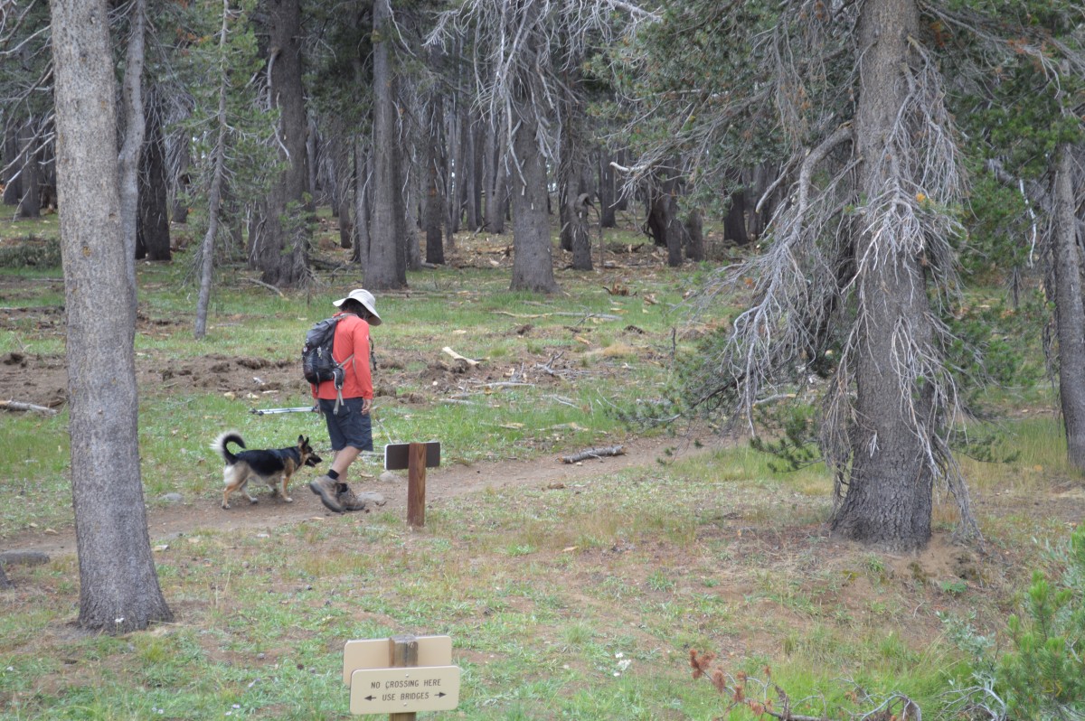 Humboldt-Toiyabe National Forest | Carson Ranger District | Forest Service
