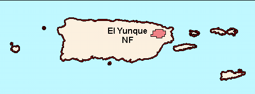 USDA Forest Service - SOPA - Puerto Rico