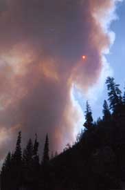 MTDC Training, The Thirtymile Fire - Slide 33