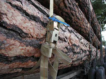 Technology and Development at the USDA Forest Service